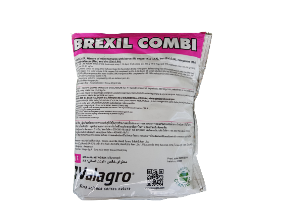 BREXIL COMBI | HOCK GREEN