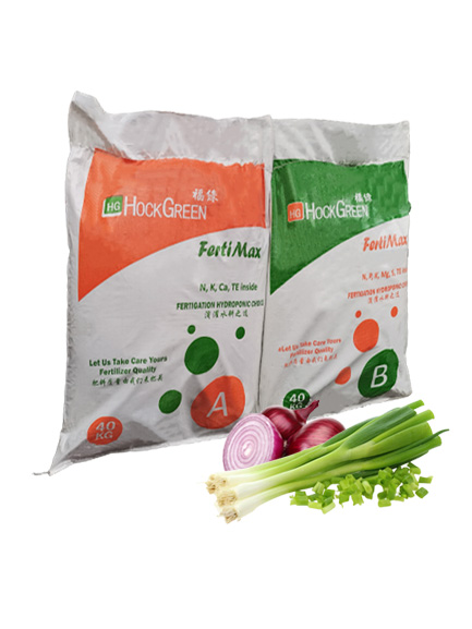 AB SETS FERTILIZER -ONION 葱 | HOCK GREEN